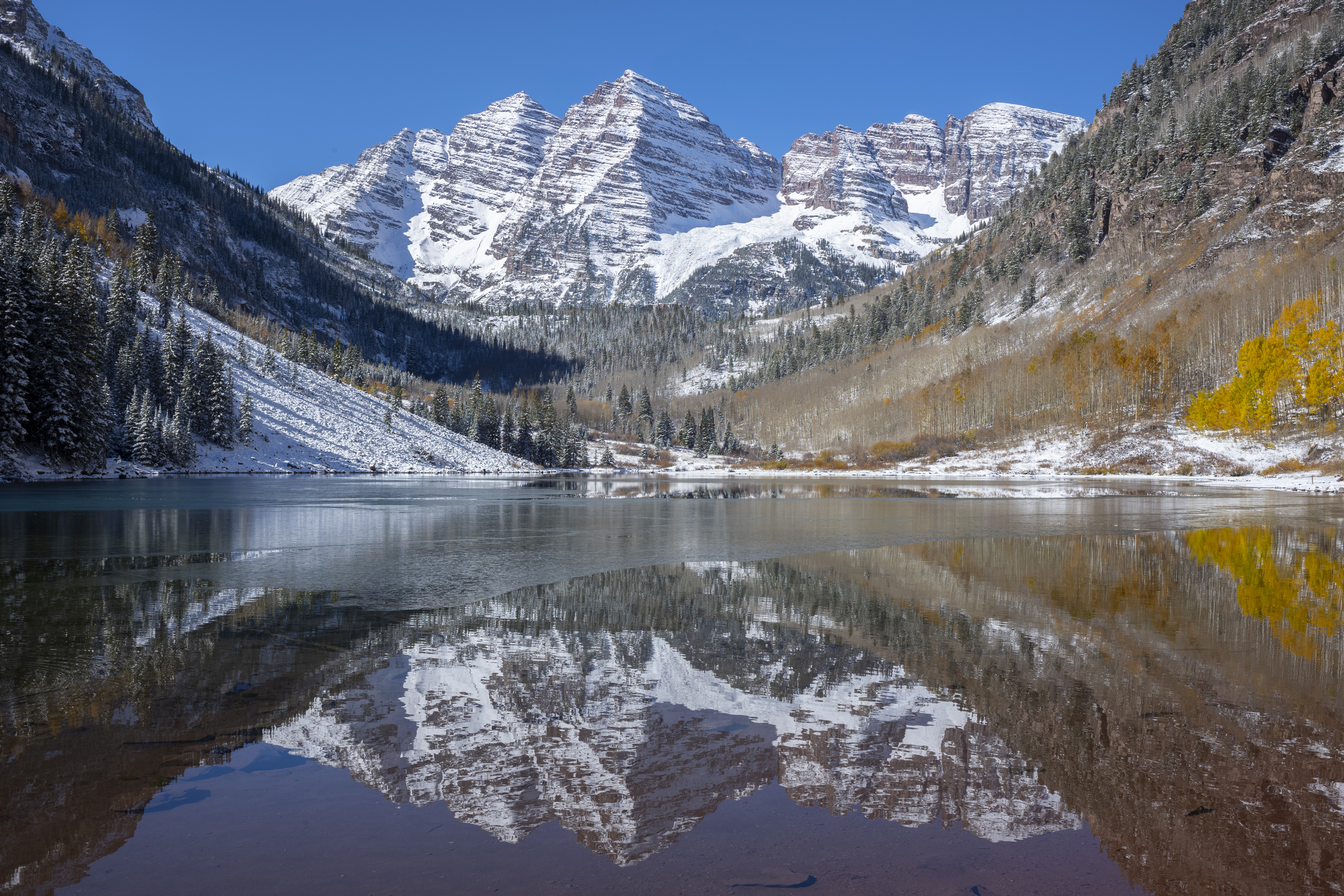 Executive Team - Aspen Institute