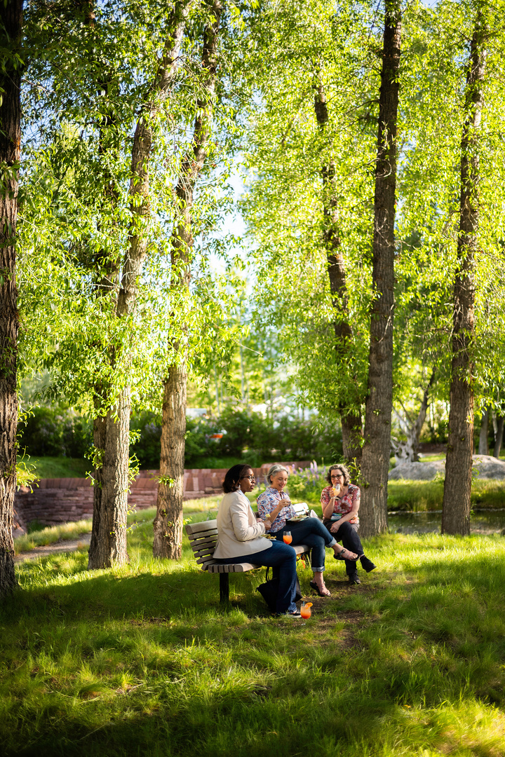 Facilitate Dialogue & Curate Convenings - Aspen Institute